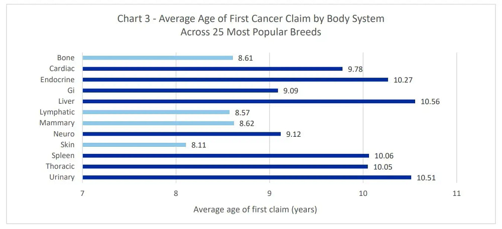 That New Canine Cancer Risk Data | Champion of My Heart