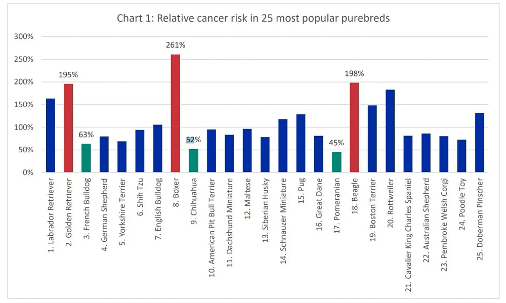 That New Canine Cancer Risk Data | Champion of My Heart